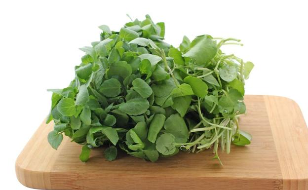 De temporada: Berros | El Correo