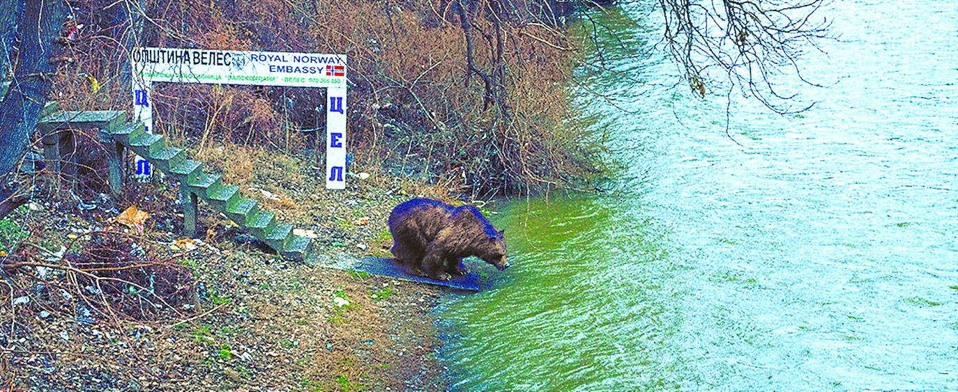 Fotos: En las entrañas del 'World Press Photo' | El Correo