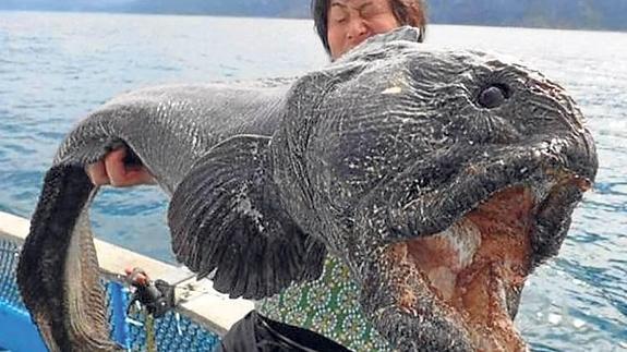 Pescan un pez 'mutante' cerca de Fukushima | El Correo